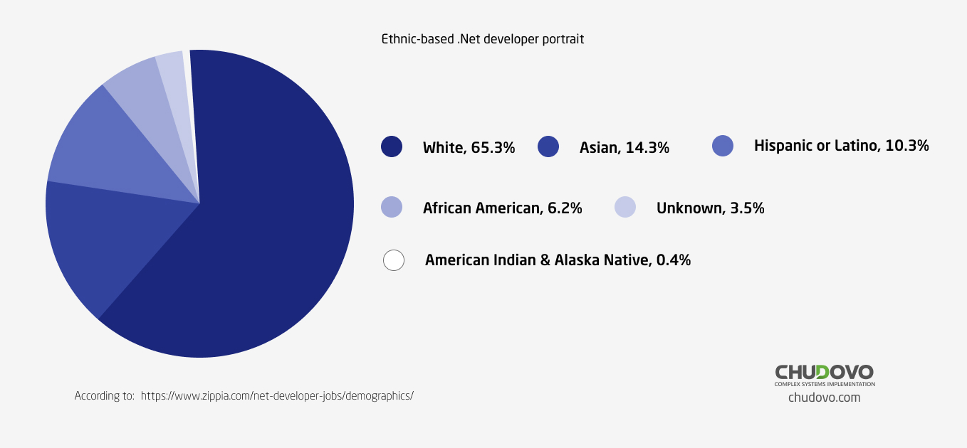 .NET Developer - What is a NET Developer and What do .NET developers do ...